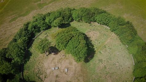 Video Joshua Collins Posted On Linkedin