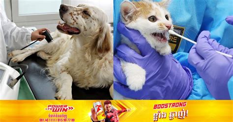 រដ្ឋាភិបាលកូរ៉េខាងត្បូងនឹងដាក់ចេញគោលនយោបាយថ្មីមួយដើម្បីលើកកម្ពស់