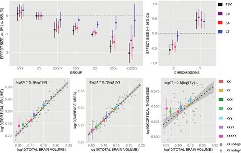 Sex Chromosomes And Global Measures Of Brain Anatomy A Total Brain Download Scientific