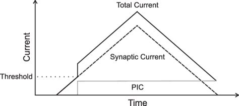 Schematic Of Persistent Inward Current Pic Simulation Pics Shaded