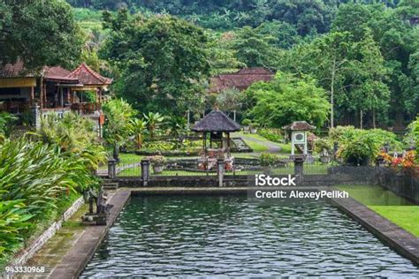 발리 섬 인도네시아에 Tirta Gangga 물 궁전 관광에 대한 스톡 사진 및 기타 이미지 관광 관광객 궁전 Istock