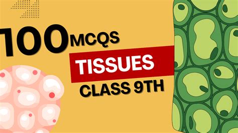 100 Most Important Mcqs Of Tissue Class 9th Asterisk Classes
