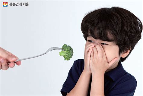 서울시 내 손안에 서울