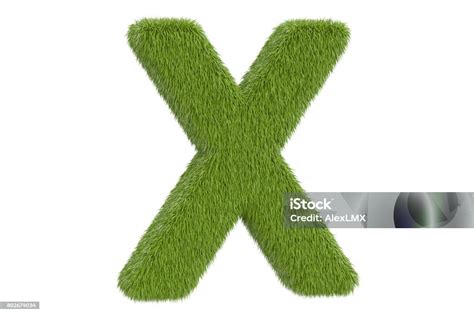 녹색 잔디 3d 렌더링에 고립 된 흰색 배경에서에서 편지 X 잔디에 대한 스톡 사진 및 기타 이미지 잔디 녹색 대형 Istock