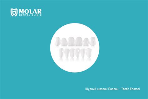 ШҮДНИЙ ШААЗАН ПААЛАН Молар Дентал Клиник