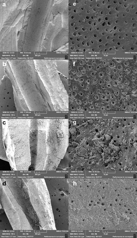 Representative Sem Photos Of Debris × 100 And Smear Layer × 5000 A Download Scientific