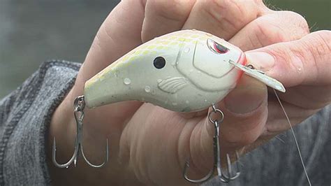 March Must Have Baits For Big Bass With Russ Lane Video The