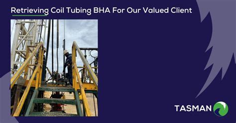 Tasman On Linkedin Tasman Onestopshop