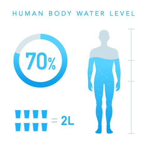 22800 Persona Tomando Agua Ilustraciones De Stock Gráficos