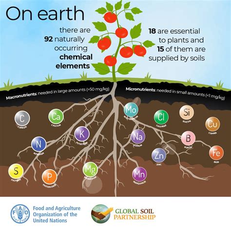 Fao On Linkedin Soilaction 32 Comments