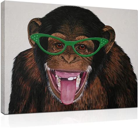 Cool Monkey