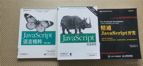 前端必备javascript书籍测评含红宝书和绿皮书本书由 JavaScript 之父 Brendan Eich 与 掘金