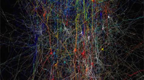 Computational Neuroscience Coursera