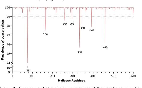 Figure 1 From Targeting Sars Cov 2 Nsp13 Helicase And Assessment Of Druggability Pockets