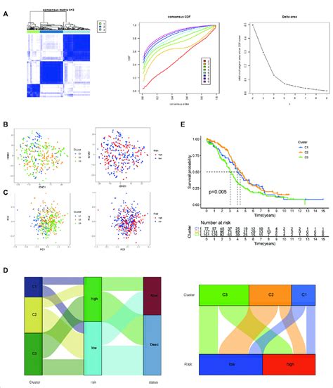 three distinct expression clusters characterized by consensus