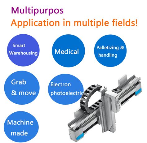 Yz Customizable Multi Axis Xyz Gantry Robot Arm Motorized Table