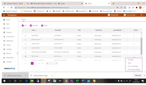 The Visitor Role Does Not Have The Ability To View The Report In Its