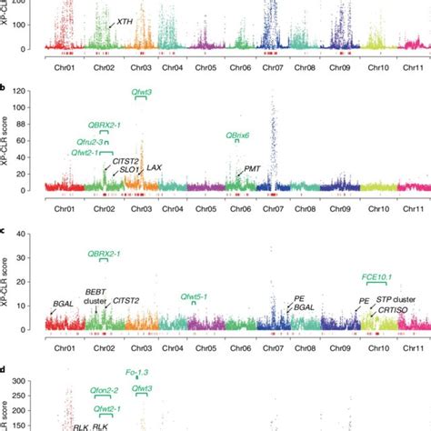 Hi C Interaction Heatmap For Each Of The 11 Chromosomes Of The ‘97103