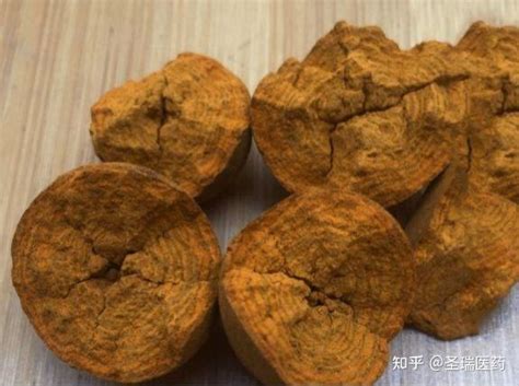 天然牛黄人工牛黄体外培育牛黄的介绍 知乎