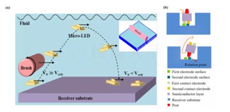 综述Micro LED显示全彩化关键技术 技术文章 MicroLED网