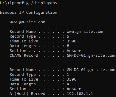 DNS Record Displayed On The Client Machine Download Scientific Diagram