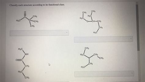 Solved Classify Each Structure According To Its Functional