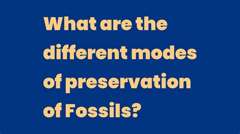 What Are The Different Modes Of Preservation Of Fossils Write A Topic
