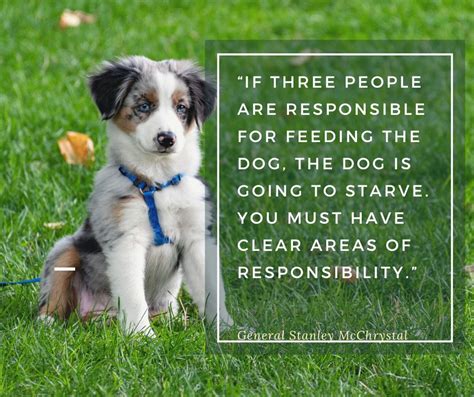 Joe Webb On Linkedin Sqlserver Dba Remotedba Itadministrator Seroshield