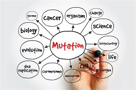 Mutation Mind Map Concept For Presentations And Reports Stock Image