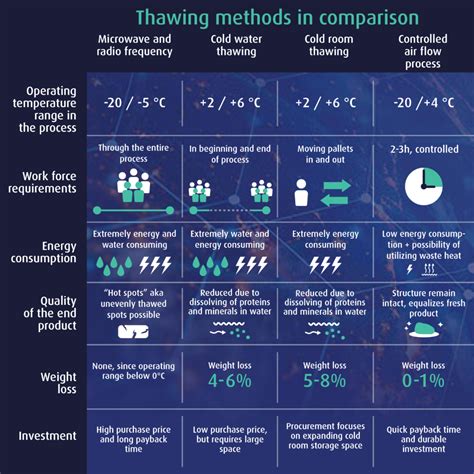 Efficient Food Thawing Process Keeps The Flavours While Minimizing