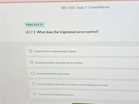 Lo 71 What Does The Trigeminal Nerve Studyx