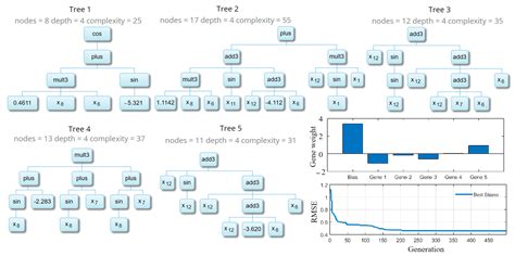 A New Multi Objective Genetic Programming Model For Meteorological Drought Forecasting