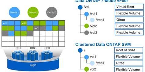 Netapp Clustered Data Ontap Configure Export Policy Part 13 Unixarena