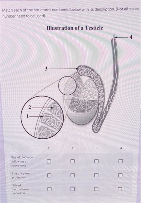 Solved Match The Number Of Structure Below With The Chegg Com