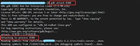 Gdb调试学习总结 Ryanxws Blog
