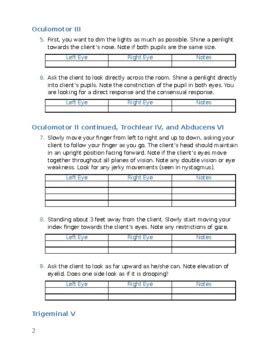 Cranial Nerve Testing Protocol By Speech Galore TPT