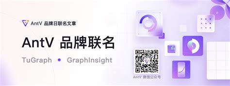 使用graphinsight打造tugraph可视化分析应用 墨天轮