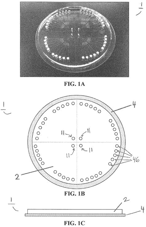 Single Cell Whole Genome Amplification Via Micropillar Arrays Under Flow Conditions Eureka