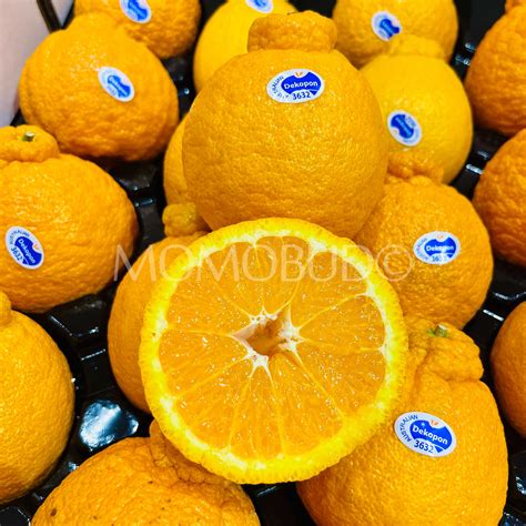 Australian Dekopon Orange — Momobud