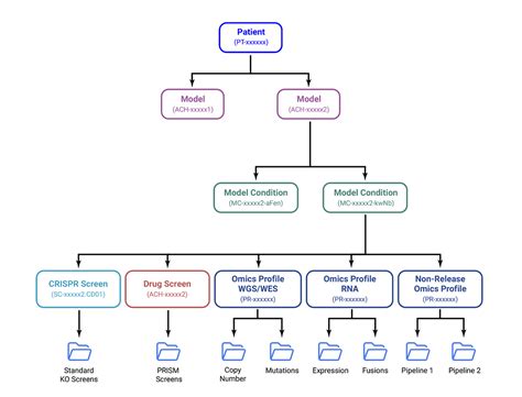 Depmap Data Structure Data Organization Depmap Community Forum