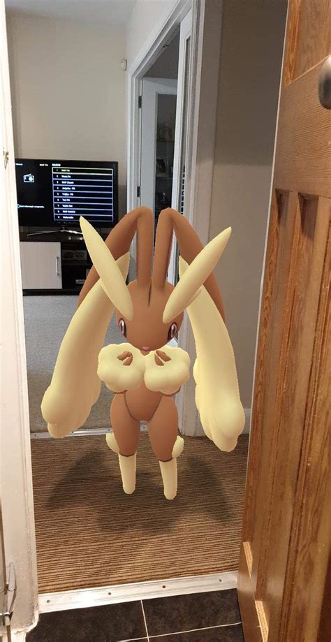 Lopunny Wiki Pok Mon Amino