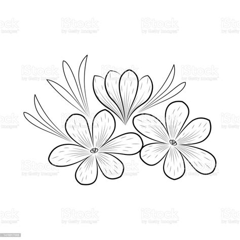 크로커스 또는 사프란 꽃 꽃 식물 꽃입니다 격리된 그림 요소입니다 벡터 손으로 야생화 그리기 0명에 대한 스톡 벡터 아트 및 기타 이미지 Istock