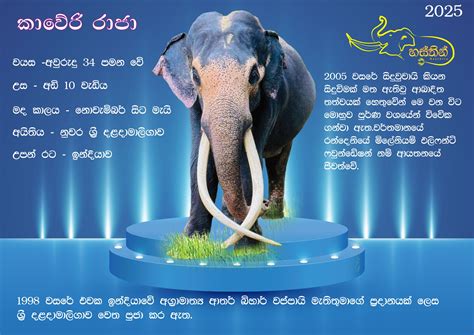 හස්තීන් වත්මන් හීලැ ඇත් පන්තියේ ජීව දත්ත සටහන 2025 වර්තමනය අප රට තුල සිටිනා හිලැ ඇතුන් 18