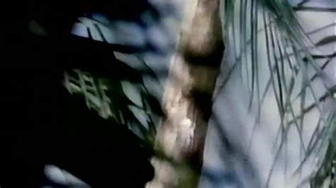 Karen Velez Porn Videos