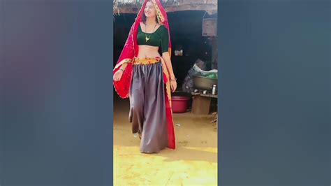 New Meena Song तेरी शेर जैसी चालम भी शेरनी लागूगी Meena Songr S