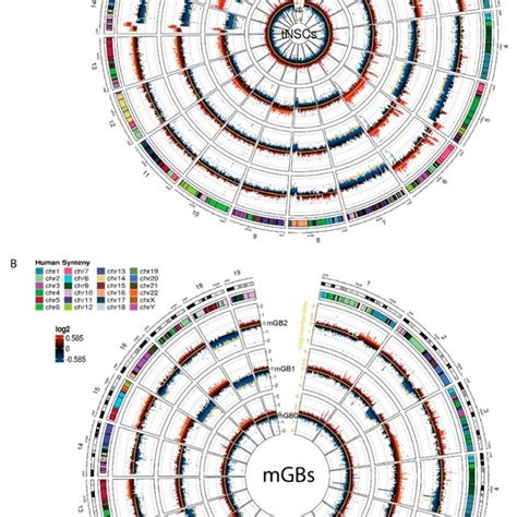 Copy Number Aberration Analysis Identifies Specific Chromosomal