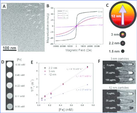 A Tem Image Of 3 Nm Iron Oxide Nps B Magnetization Curves M−h At