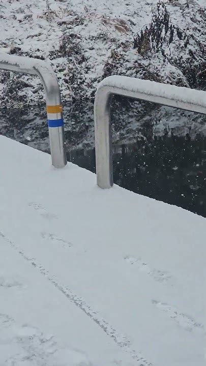 눈 내리는 새해연휴 산책길 Youtube