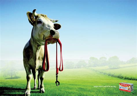 75张获奖优秀平面广告作品 设计之家