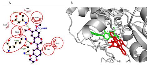 Single Crystal X Ray Structure For The Disordered Two Independent Molecules Of Novel Isoflavone